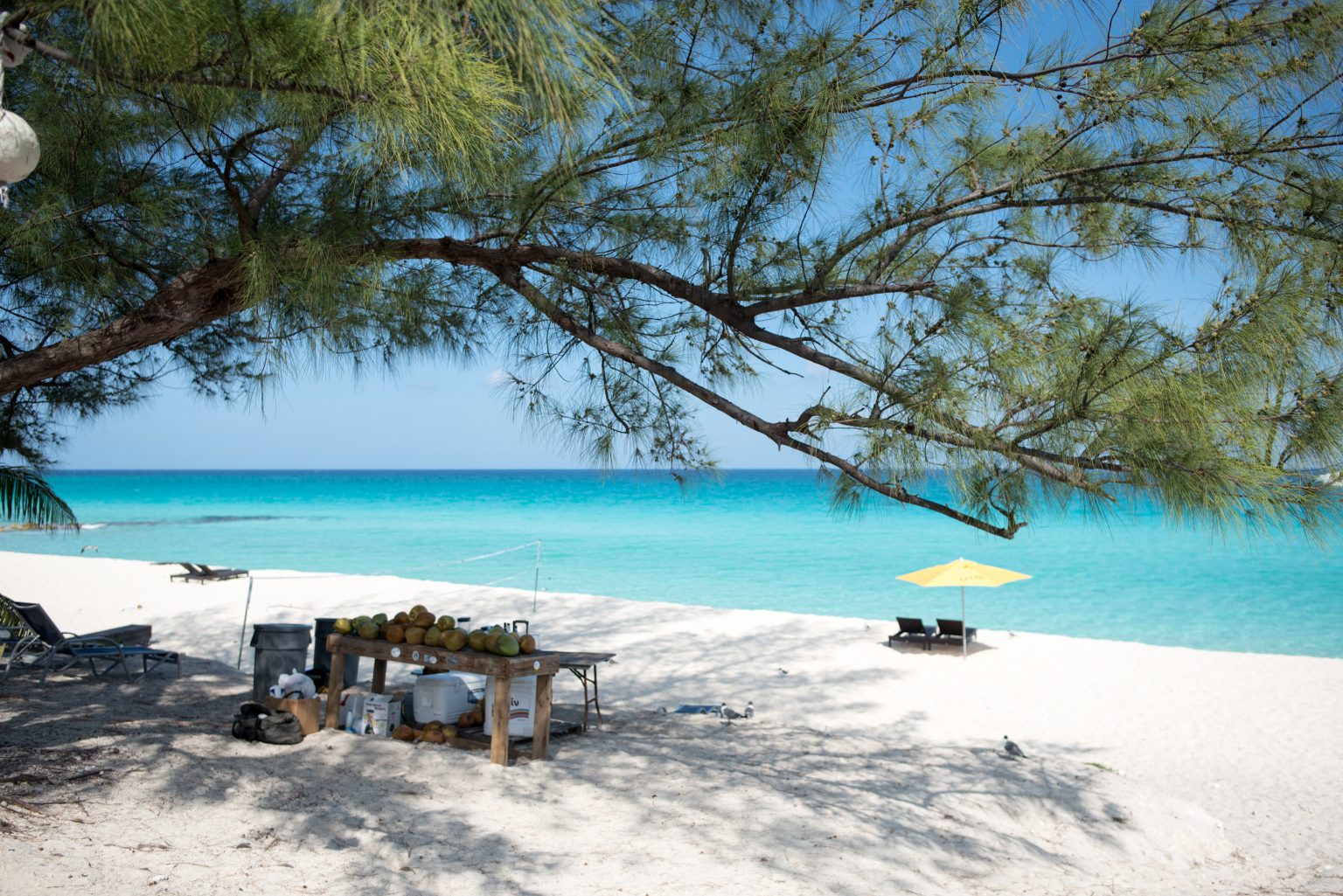 25 Photos To Inspire You To Visit Bimini in The Bahamas – Verbal Gold Blog